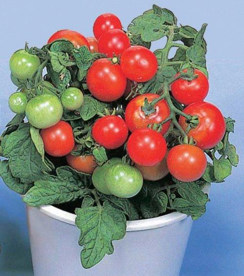 Produits - Ferme Bastien